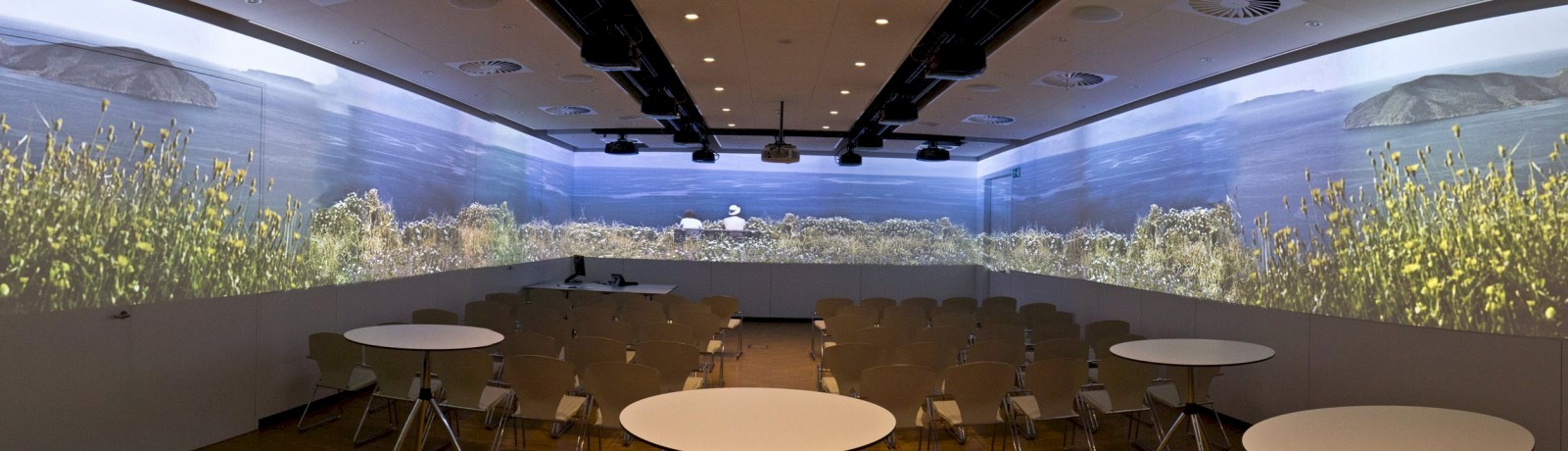 Panoramic Video Projection